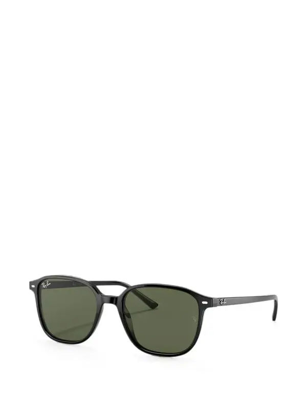 Ray-ban Leonard Sunglasses