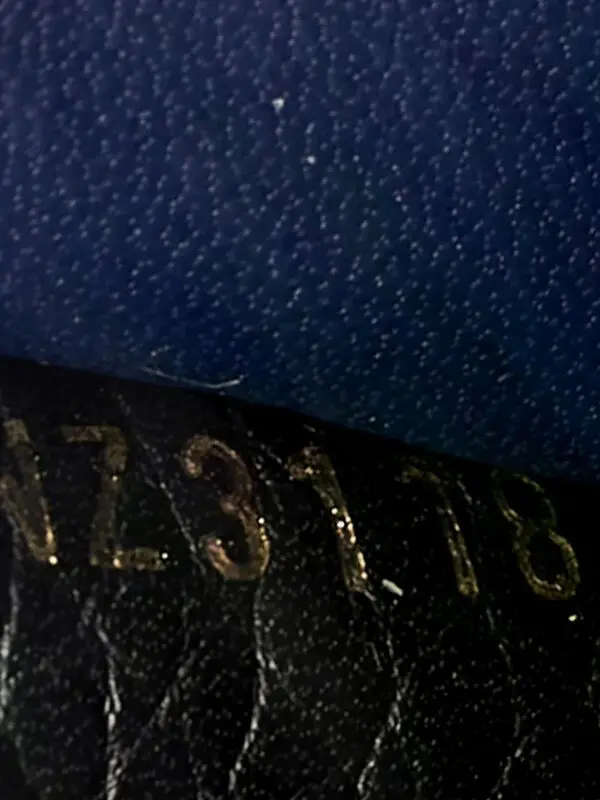 LOUIS VUITTON 2018 Capucines Studded Wallet