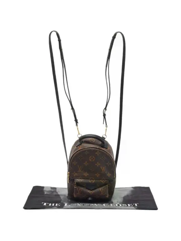 LOUIS VUITTON 2020 Mini Palm Springs Monogram Backpack - Brown