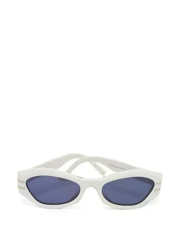 Dior Diorsignature B1u Cat-eye Sunglasses