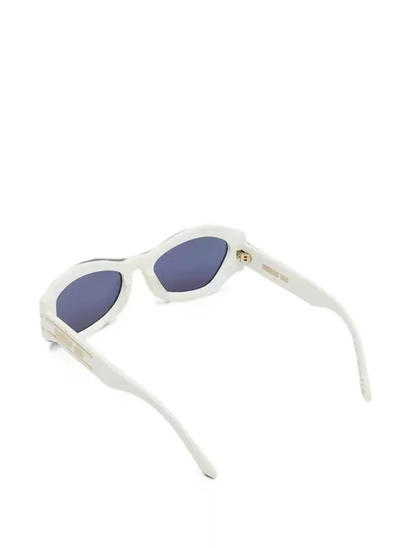Dior Diorsignature B1u Cat-eye Sunglasses