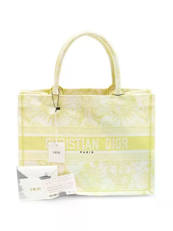 Dior 2024 De Jouy Soleil Book Tote Bag