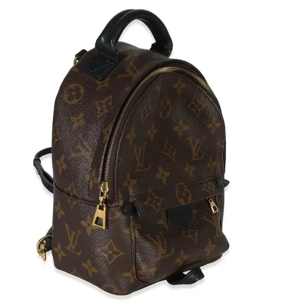 LOUIS VUITTON Monogram Canvas Palm Springs - Brown