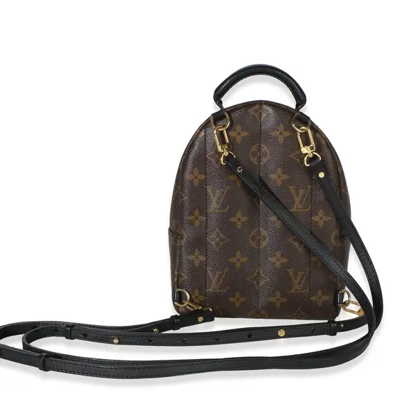 LOUIS VUITTON Monogram Canvas Palm Springs - Brown
