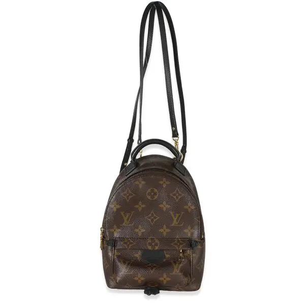 LOUIS VUITTON Monogram Canvas Palm Springs - Brown