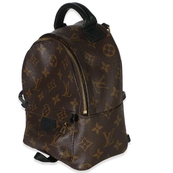 LOUIS VUITTON Monogram Canvas Palm Springs Backpack