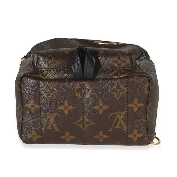 LOUIS VUITTON Monogram Canvas Palm Springs Backpack