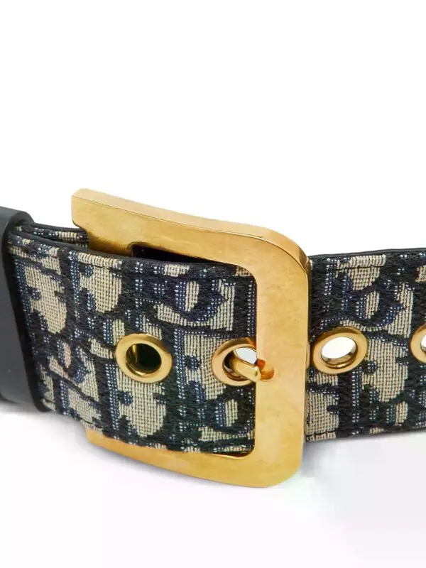 Dior Quake Oblique Belt