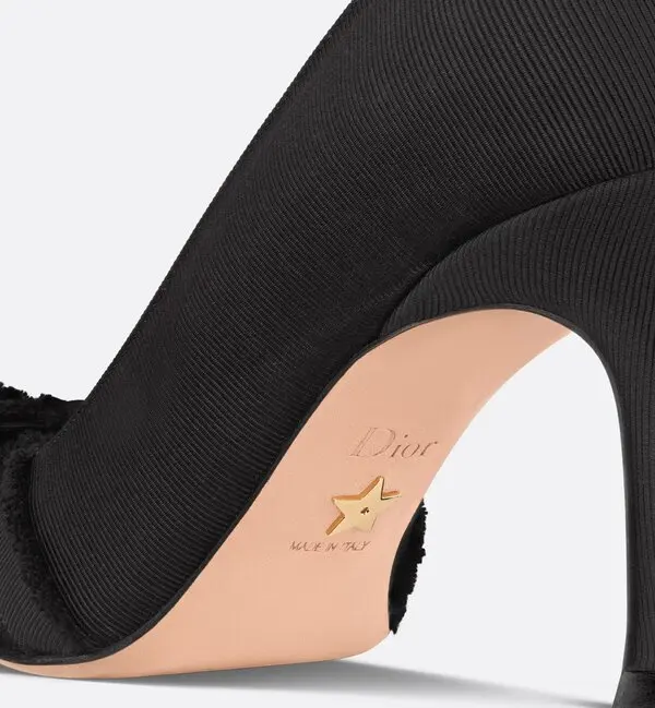 Dior Pointed High Heels