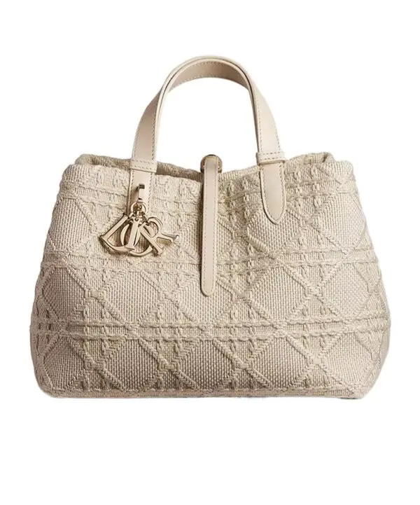 Dior Medium Toujours Bag