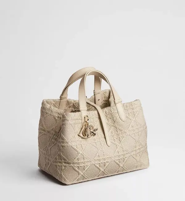 Dior Medium Toujours Bag