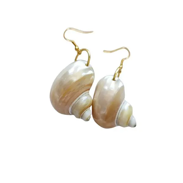 OHSUN Gemma Turbo Shell Earrings