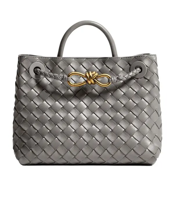 Bottega Veneta Small Andiamo