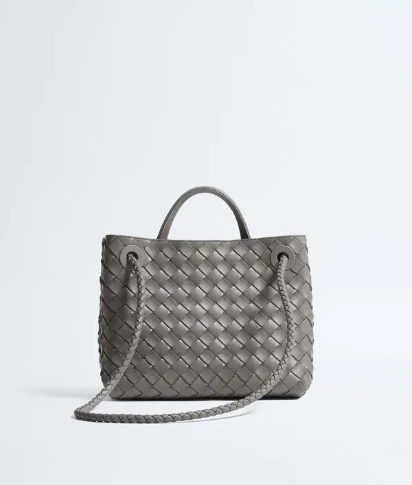 Bottega Veneta Small Andiamo