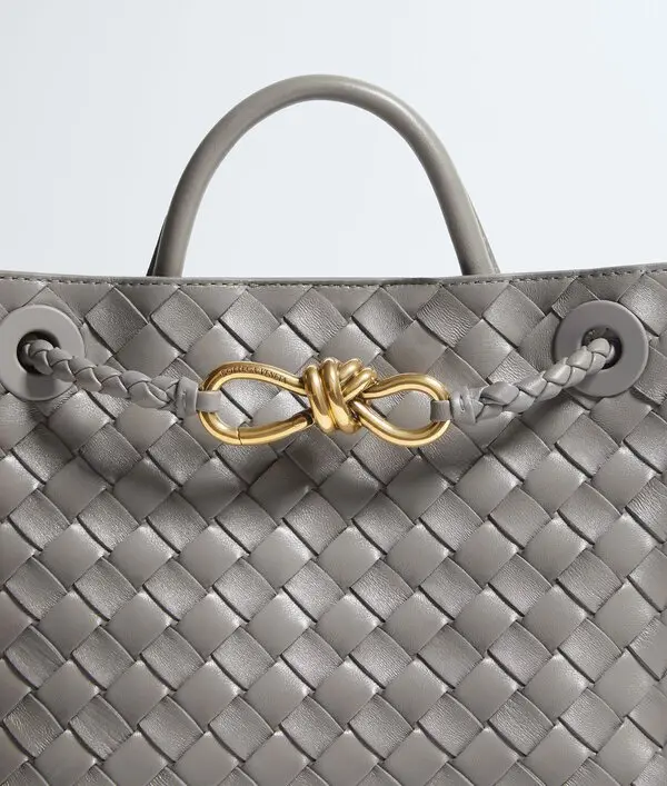 Bottega Veneta Small Andiamo