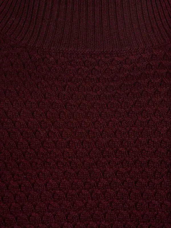 Tagliatore Burgundy Turtleneck
