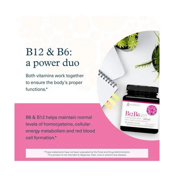 YOUTHEORY Vitamin B12 B6