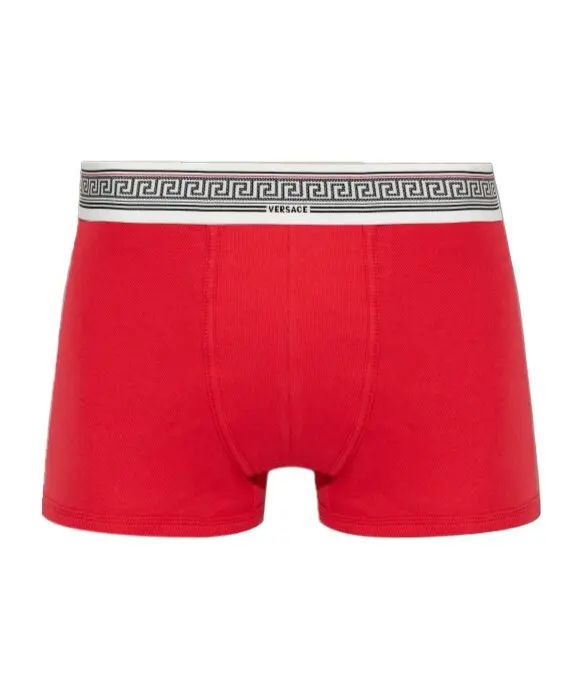 Versace Logo Waistband Boxer Briefs