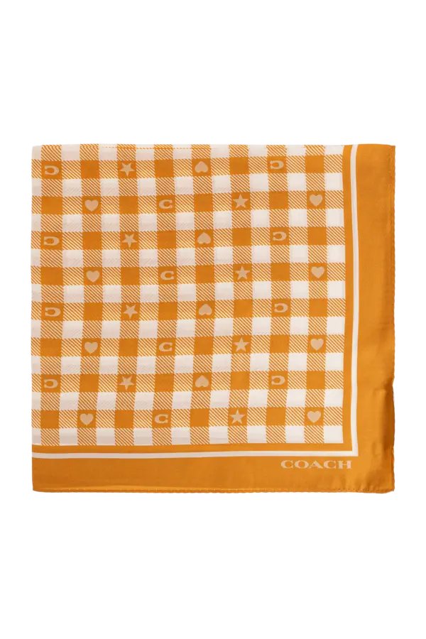 COACH Silk Scarf - Orange