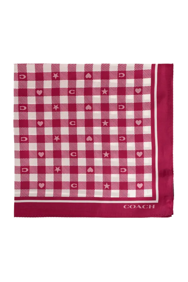 COACH Silk Scarf