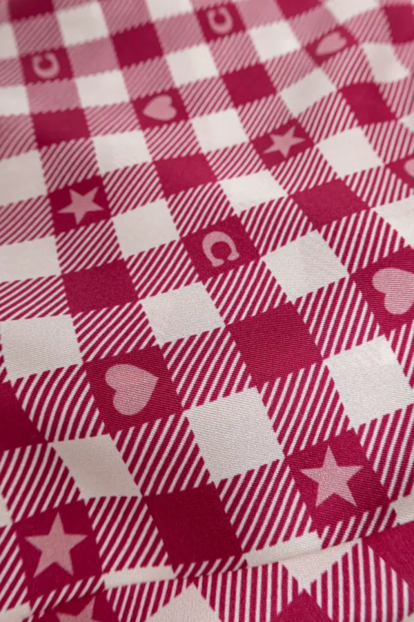 COACH Silk Scarf