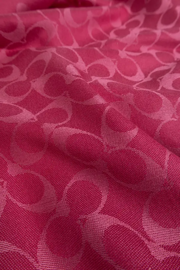 COACH Scarf With Monogram