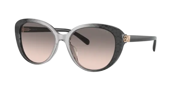 COACH Sunglasses - Grey Pink Gradient