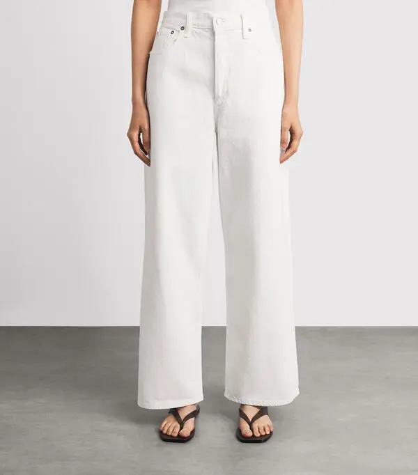 AGOLDE The Low-slung Baggy Jeans