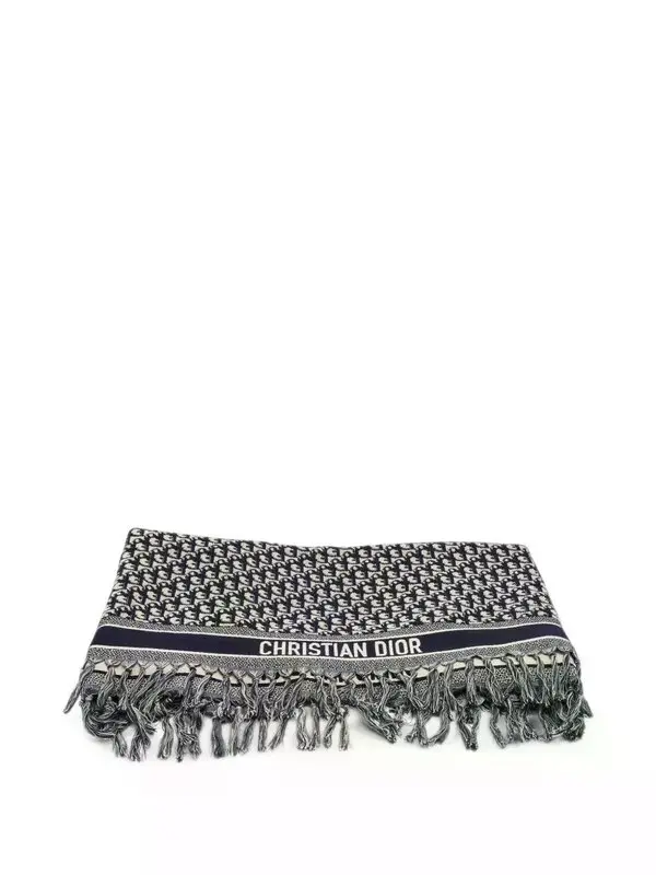 Dior Toile De Jouy Sauvage Beach Towel - Blue
