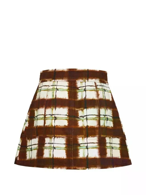Cara Cara A-line Mini Skirt