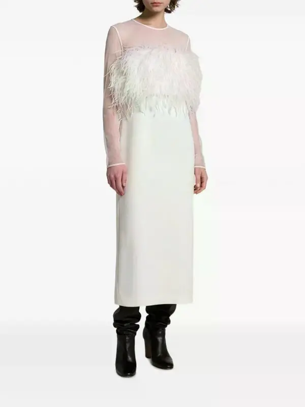 Alberta Ferretti Feather-detail Sheer-panel Midi Dress