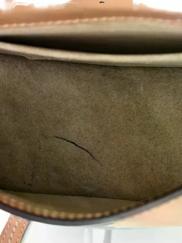 Chloé Nile Leather Small Crossbody Bag