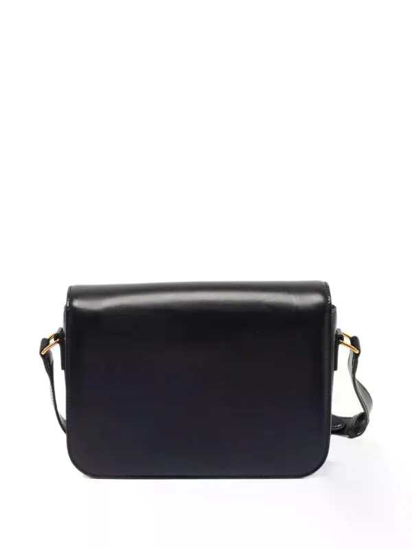 Celine 2021 Classique Triomphe Shoulder Bag