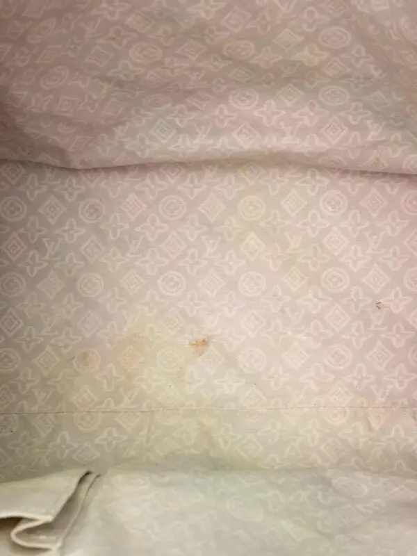 LOUIS VUITTON 2008 Monogram Tahitienne Cabas Gm Tote Bag