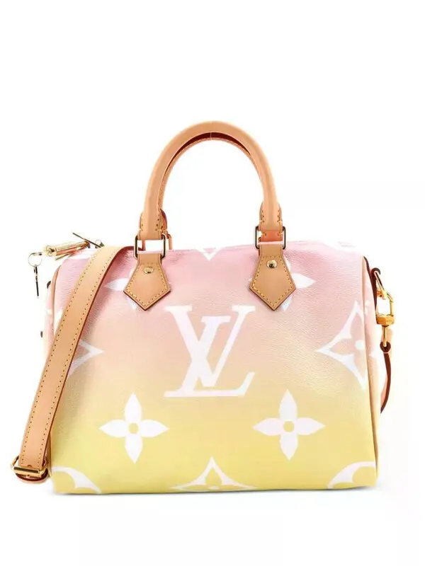 LOUIS VUITTON Speedy Bandouliere Bag The Pool Monogram Giant 25 Satchel - Multicolour