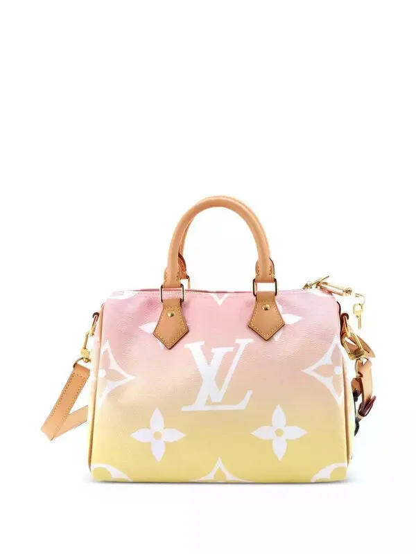 LOUIS VUITTON Speedy Bandouliere Bag Monogram Giant 25 - Multicolour