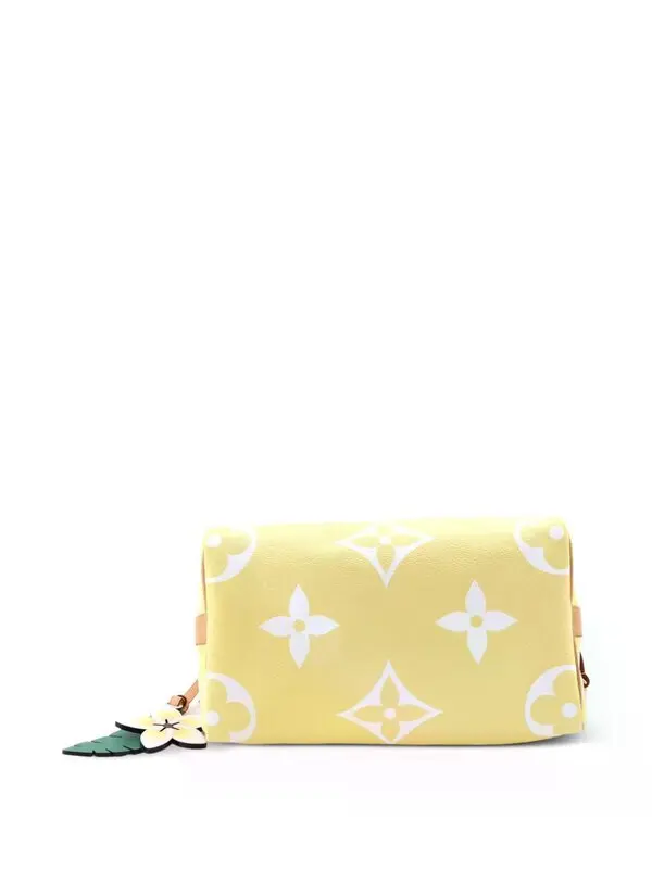LOUIS VUITTON Speedy Bandouliere Bag Monogram Giant 25 - Multicolour