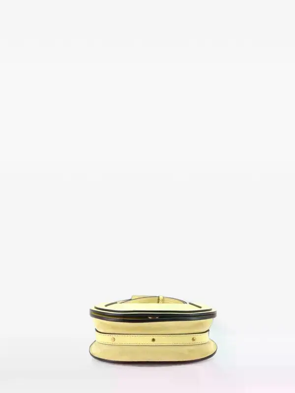 Chloé Nile Leather Small Crossbody Bag