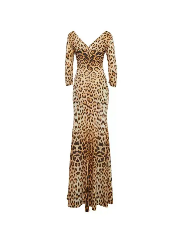 Roberto Cavalli Leopard-print Ruched Maxi Dress