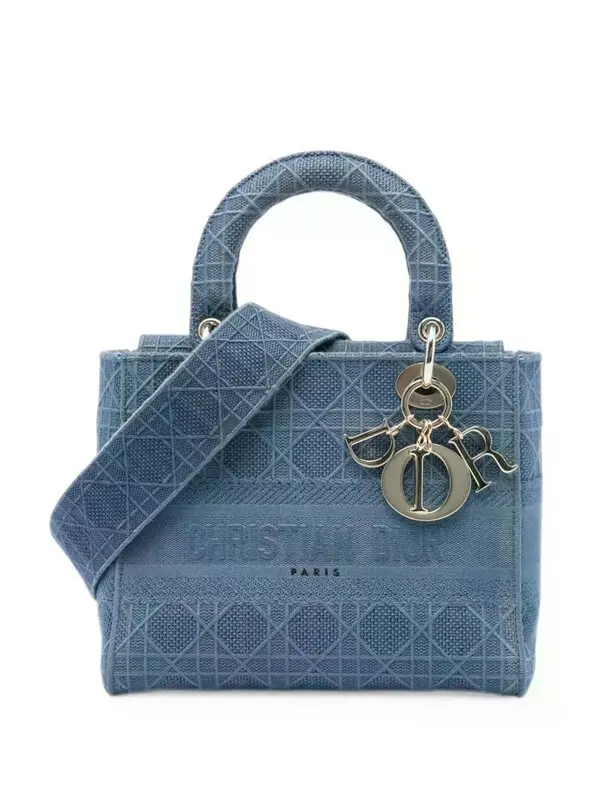 Dior Embroidered Canvas Cannage Lady D Lite Satchel
