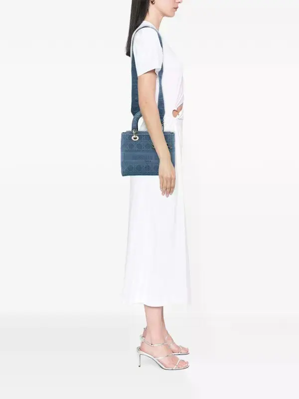 Dior Embroidered Canvas Cannage Lady D Lite Satchel