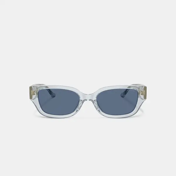COACH OUTLET Charms Narrow Rectangle Sunglasses