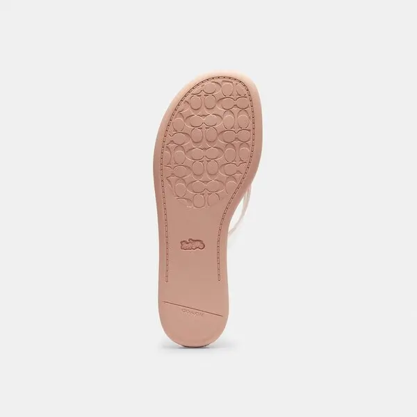 COACH OUTLET Jelly Flip Flop In Signature - Candy Pink