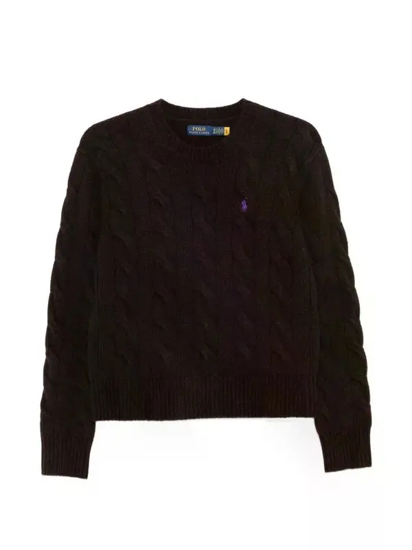 Polo Ralph Lauren Cable Knit Embroidered Logo Sweater - Brown