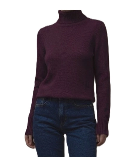 ALLUDE Turtleneck Knit Top With Ribbed Cuffs And Hem