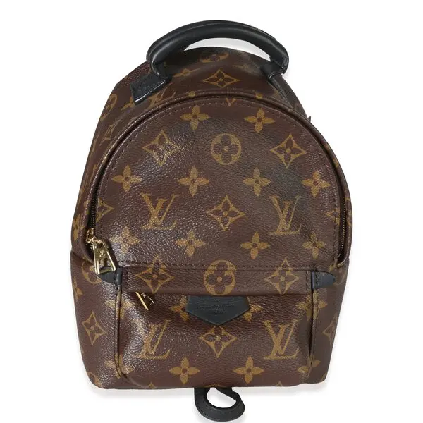 LOUIS VUITTON Monogram Canvas Palm Springs - Brown
