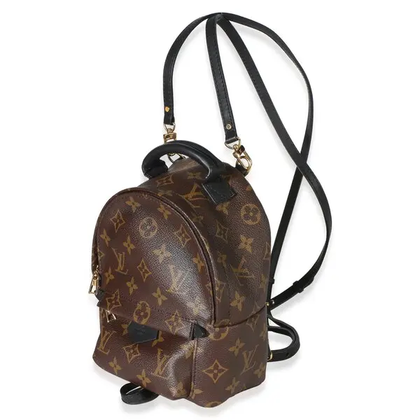 LOUIS VUITTON Monogram Canvas Palm Springs Backpack - Brown