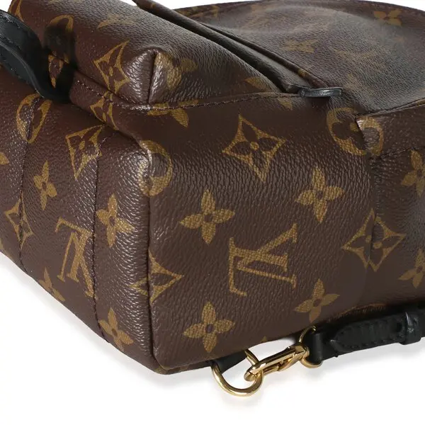 LOUIS VUITTON Monogram Canvas Palm Springs Backpack - Brown