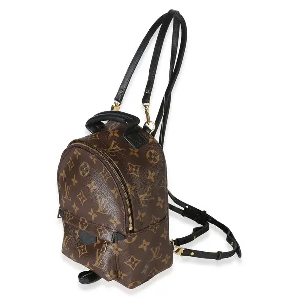 LOUIS VUITTON Monogram Canvas Palm Springs Backpack - Brown