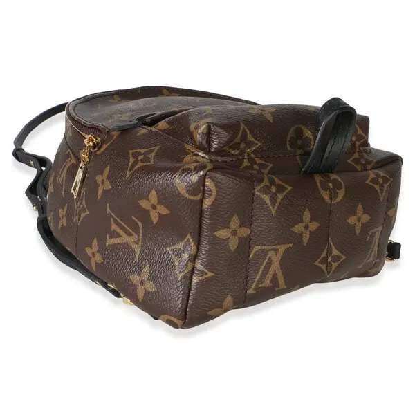 LOUIS VUITTON Monogram Canvas Palm Springs Backpack - Brown